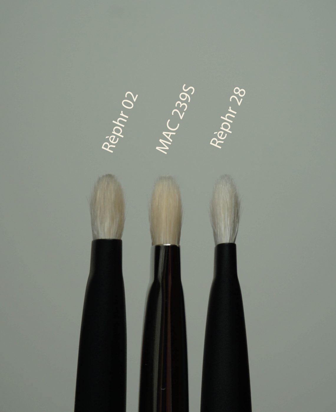 Review of my Rèphr Brushes - Blossomful